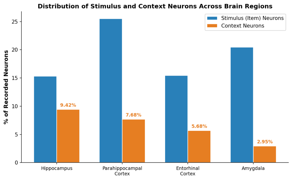 How the Human Brain Stores Memory: Content vs. Context Neurons - Brain ASAP